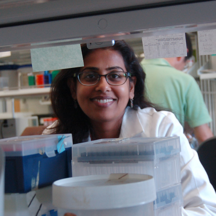 Teitelbaum Lab | Division of Bone and Mineral Diseases | Washington ...